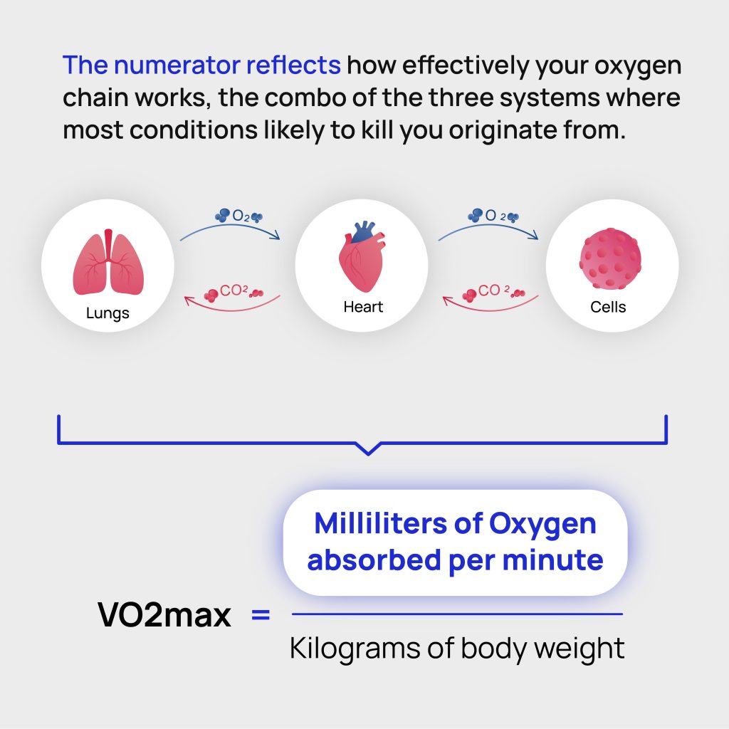 What is VO2 Max, Movement Economy & How to Improve it? - Debbie Potts ...